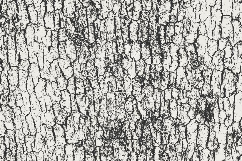 Tree Bark Vector Textures – GhostlyPixels